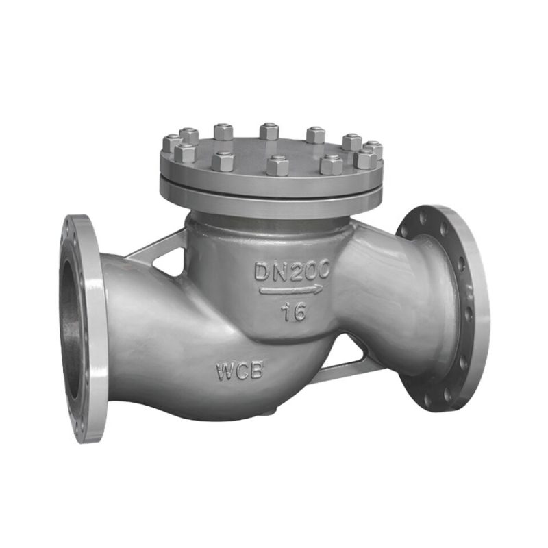 Swing & Lift Check Valve Manufacturer | Factory-Direct
