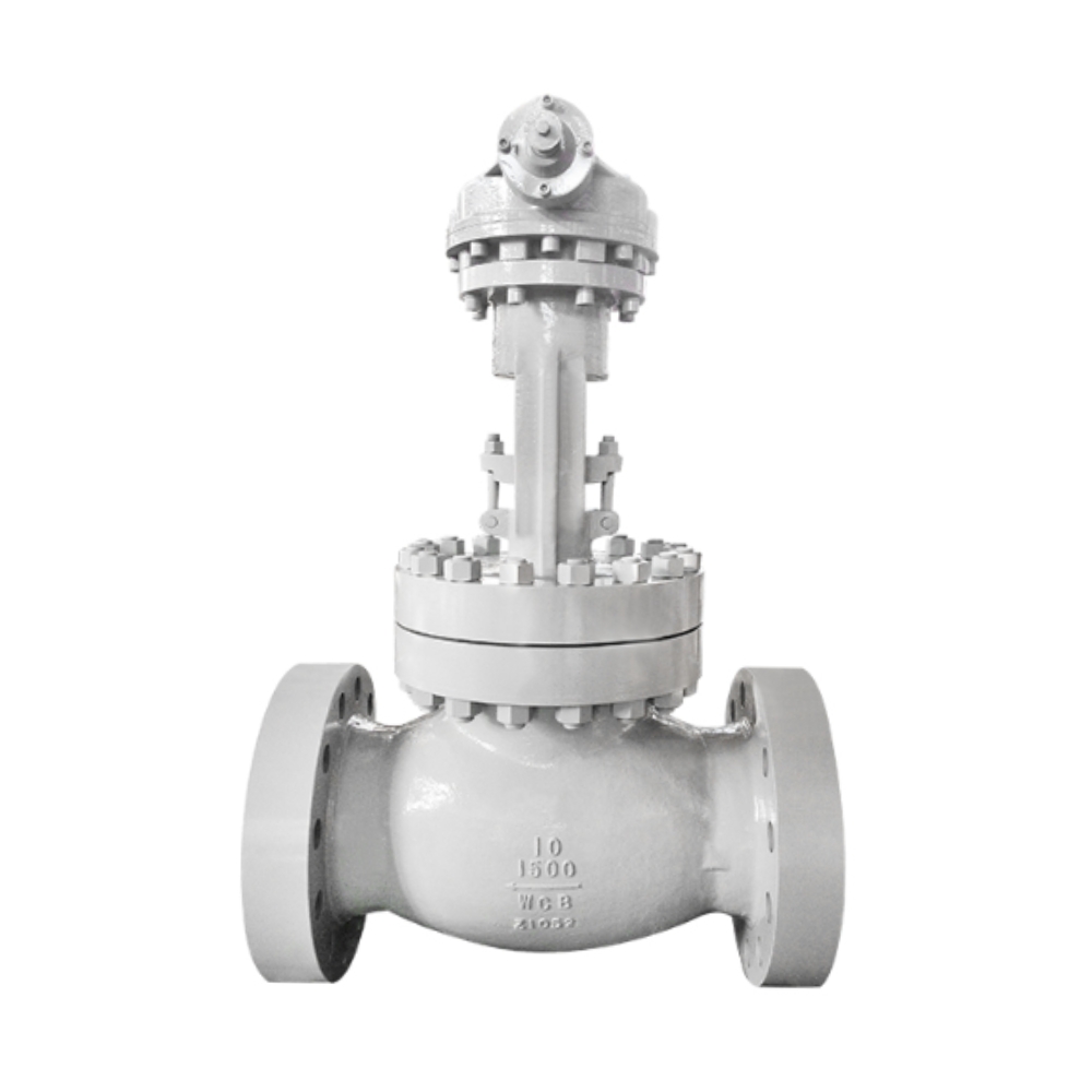 Straight Pattern Globe Valve OEM Supplier | Durable - CTGV