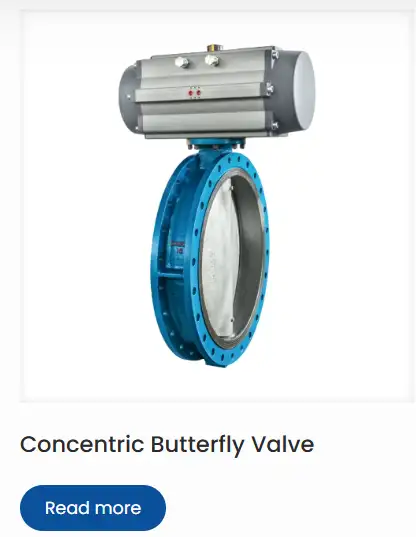 Butterfly Valve Types: Concentric vs Double & Triple Offset | CTGV