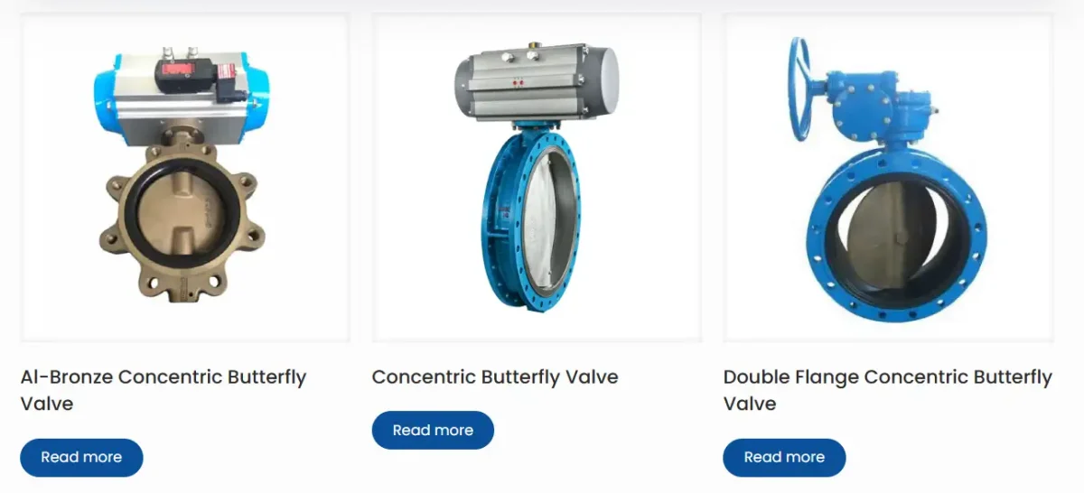 Concentric vs Eccentric Butterfly Valve: Which is Right for You? | CTGV