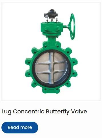 Wafer vs. Lug Butterfly Valve: Which is Right for You? | CTGV