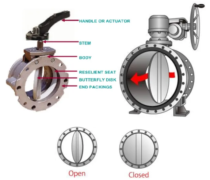 Ultimate Guide to Butterfly Valves (Types & Applications) | CTGV