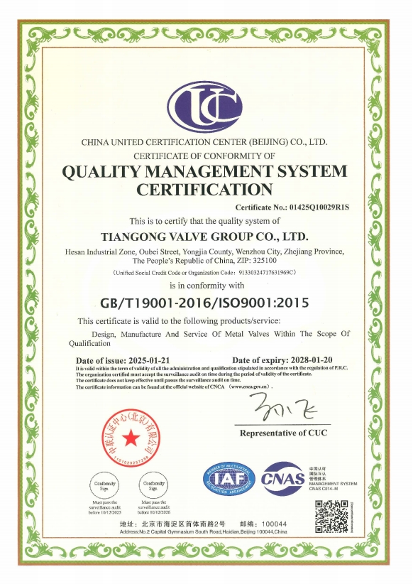 API Valve Standards and International Equivalents | CTGV