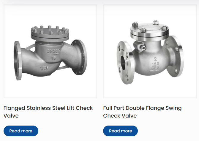 Flanged Check Valve: Swing, Lift, and Dual Plate Types | CTGV