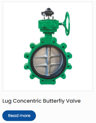 Difference Between Flanged and Lugged Butterfly Valves | CTGV