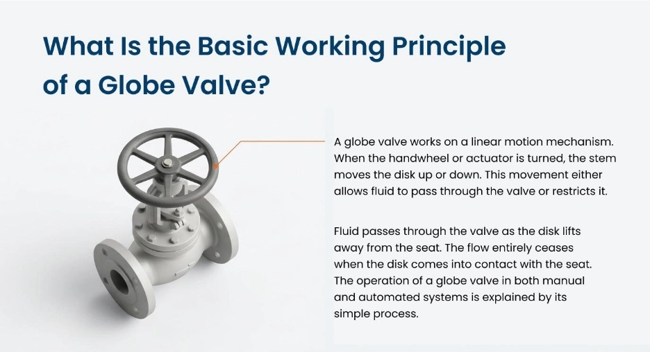 How Does a Globe Valve Work? Function & Applications | CTGV